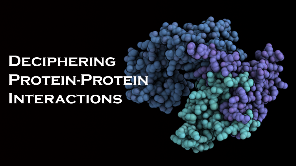 Is Deciphering Protein-Protein Interactions (PPIs) the Next Big ...